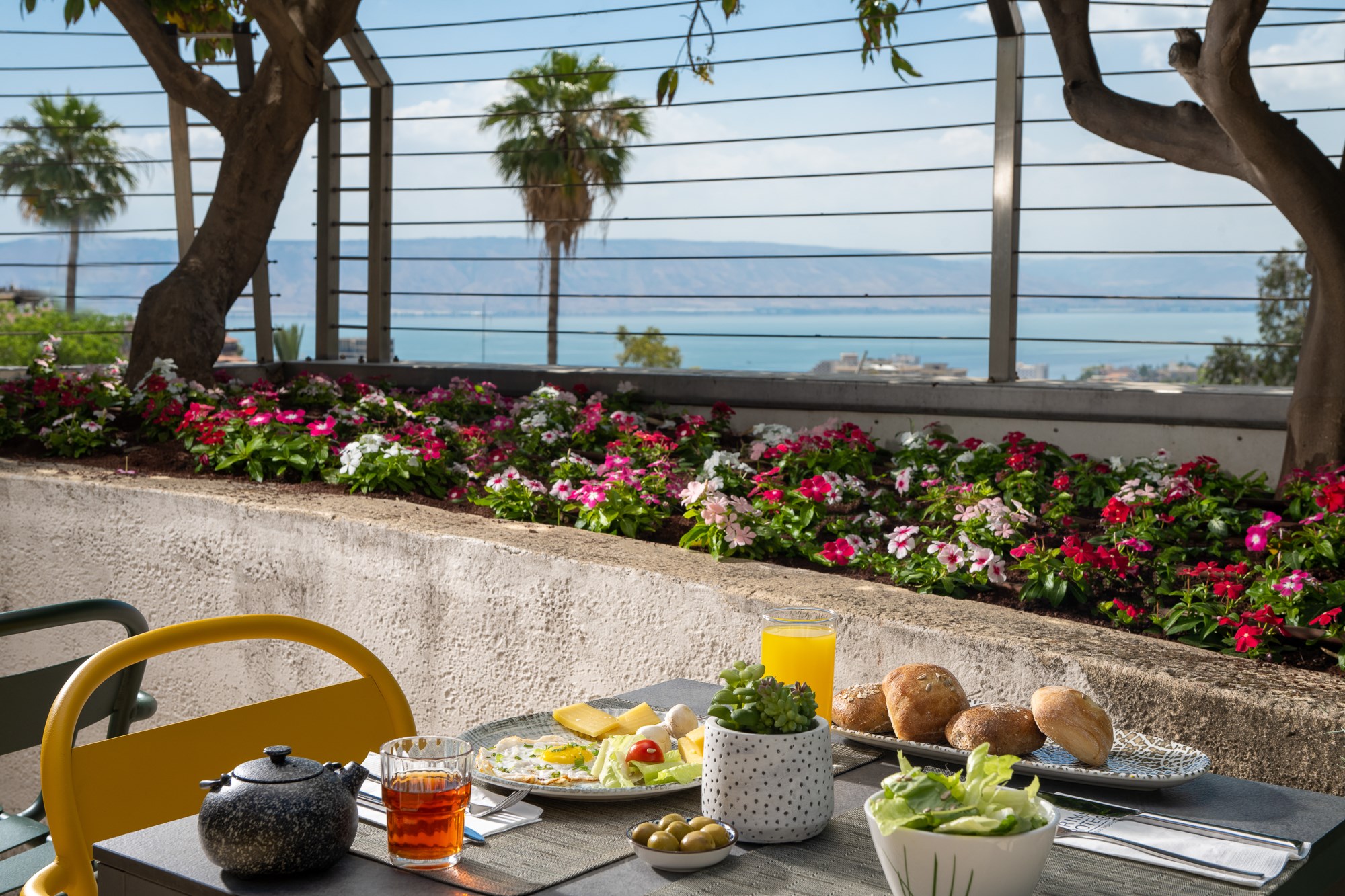 Prima Hotels Israel - Hotels in Israel